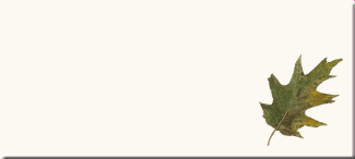 Autumn Theme Wedding Products-Fall Wedding Ideas-Fall Leaves-Autumn ...