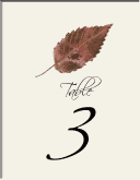 Fall Wedding Table Numbers with Leaves