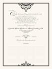 Abbey Cocktail Wedding Certificate and Marriage Vows with Double Line ...