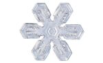 Winter Snowflake Assortment Wedding Table Names, Winter Table Name ...