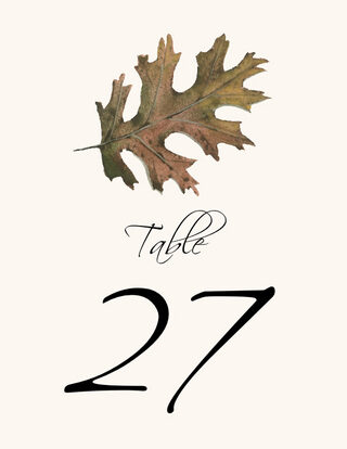 Autumn and Fall Colorful Leaves Assortment Wedding Table Numbers and ...