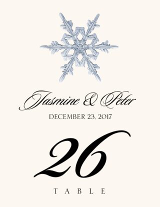 Winter Snowflake Assortment Wedding Table Numbers and Winter and ...