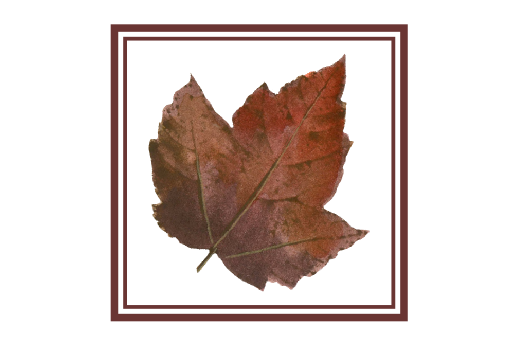 Leaf Flourishes - Documents and Designs