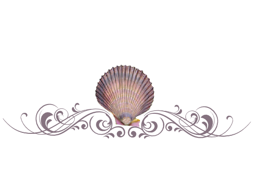 Seashell Flourishes - Documents and Designs