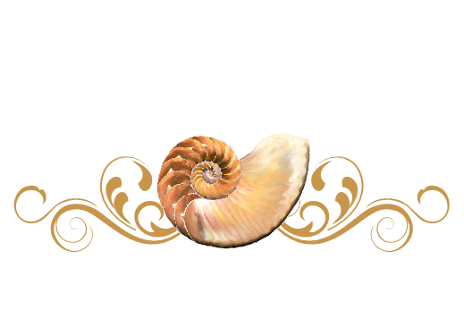 Seashell Flourishes - Documents and Designs
